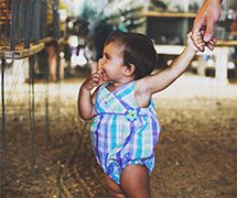 Home - Lucas County Fair