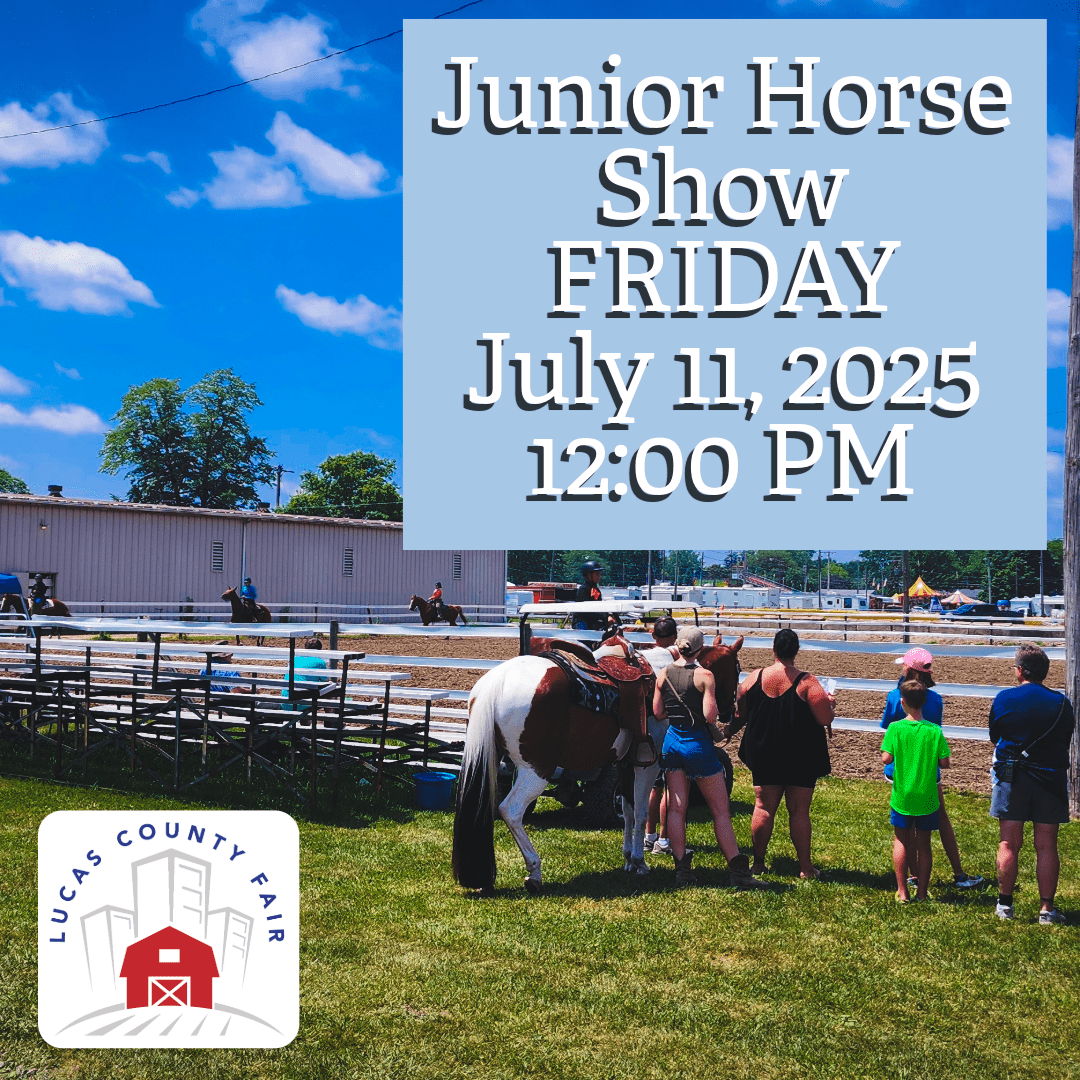 Jr. Fair Horse Show Friday - Lucas County Fair